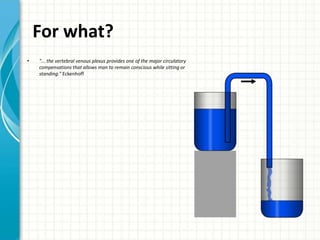 Plexo Venoso de Batson | PPTX