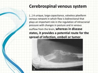 Plexo Venoso de Batson | PPTX