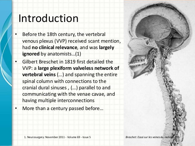 Plexo Venoso de Batson