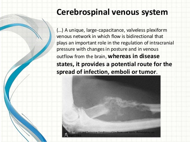 Plexo Venoso de Batson