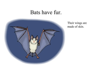 Bats (science) | PPT