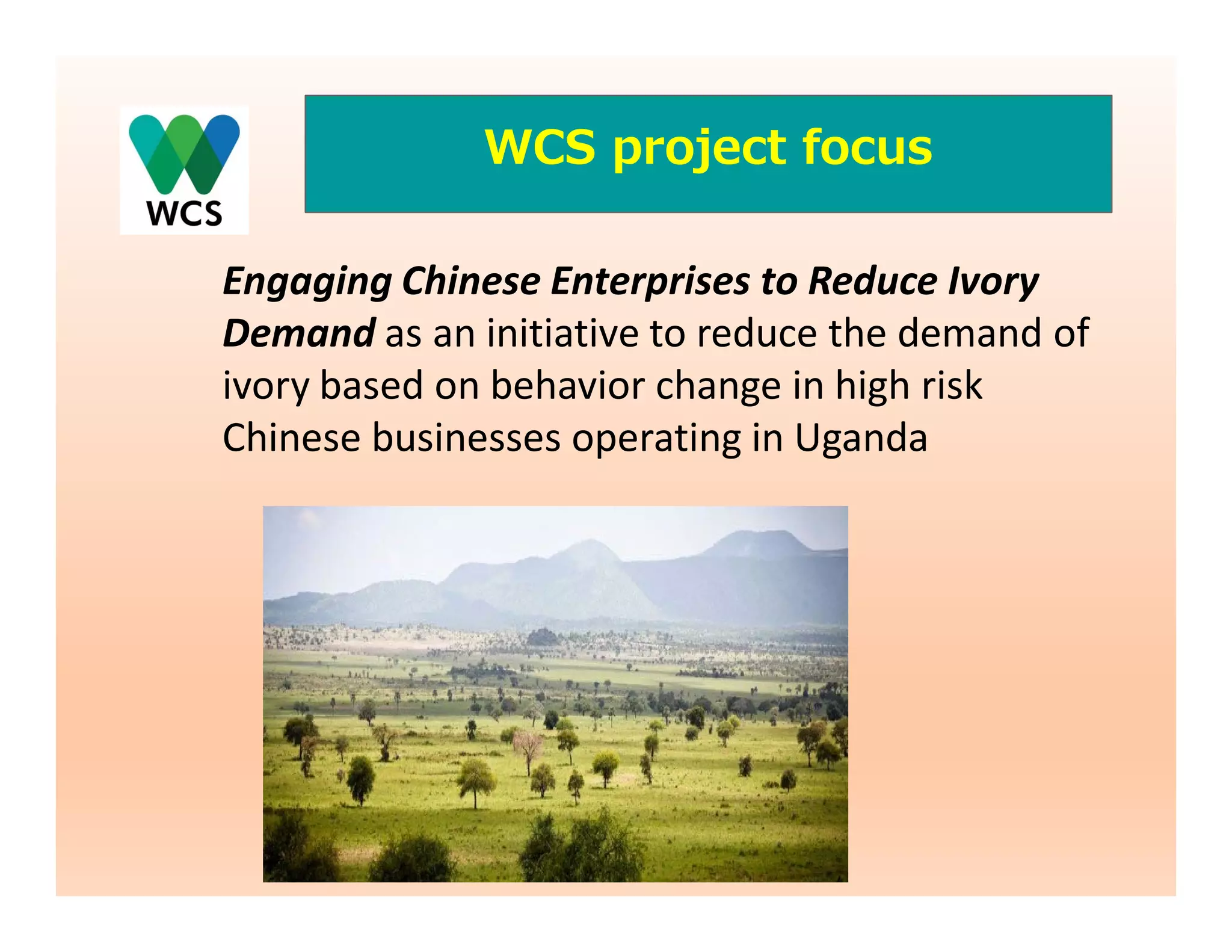 Batten project wcs may.04.2018