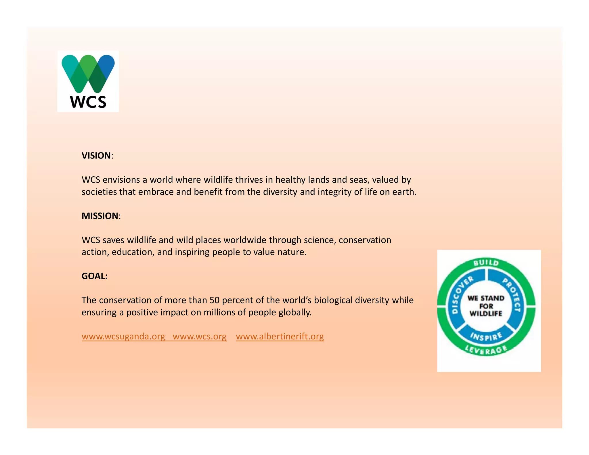 Batten project wcs may.04.2018