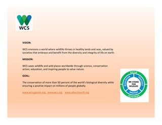 Batten project wcs may.04.2018