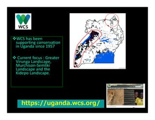 Batten project wcs may.04.2018