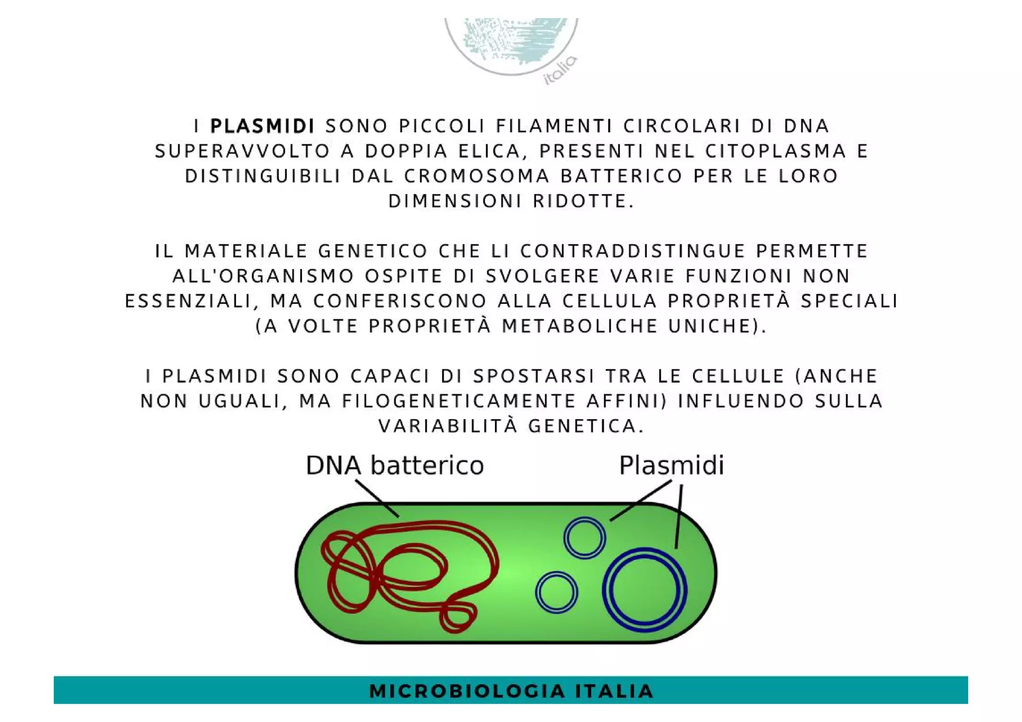 La cellula batterica - struttura e funzioni | PDF