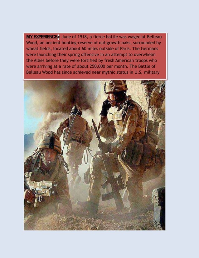 Battle of belleau wood during the First World War | PPTX