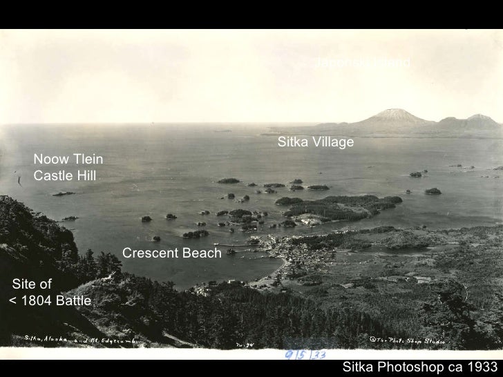 Battle of sitka artifactual and visual 3 2009