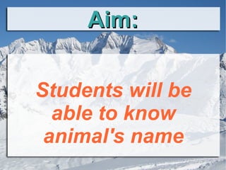 Animal 5th grade | PPT