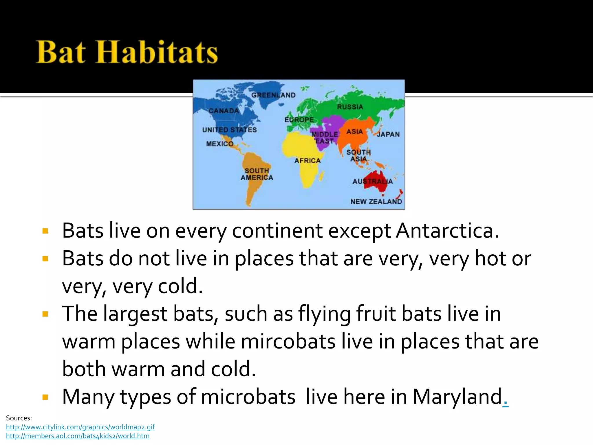 Batty About Bats! | PPTX