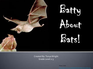 Batty About Bats! | PPTX