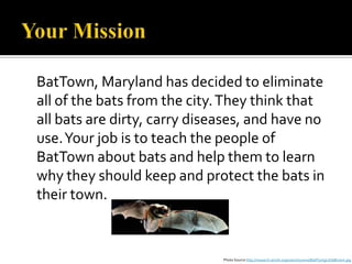 Batty About Bats! | PPTX