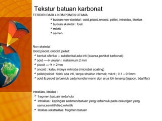 Batuan Karbonat.pptx