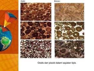 Batuan Karbonat.pptx