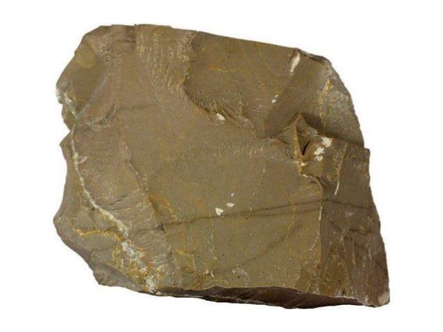 Shallow Marine Dan Klasifikasi Batuan Karbonat - vrogue.co