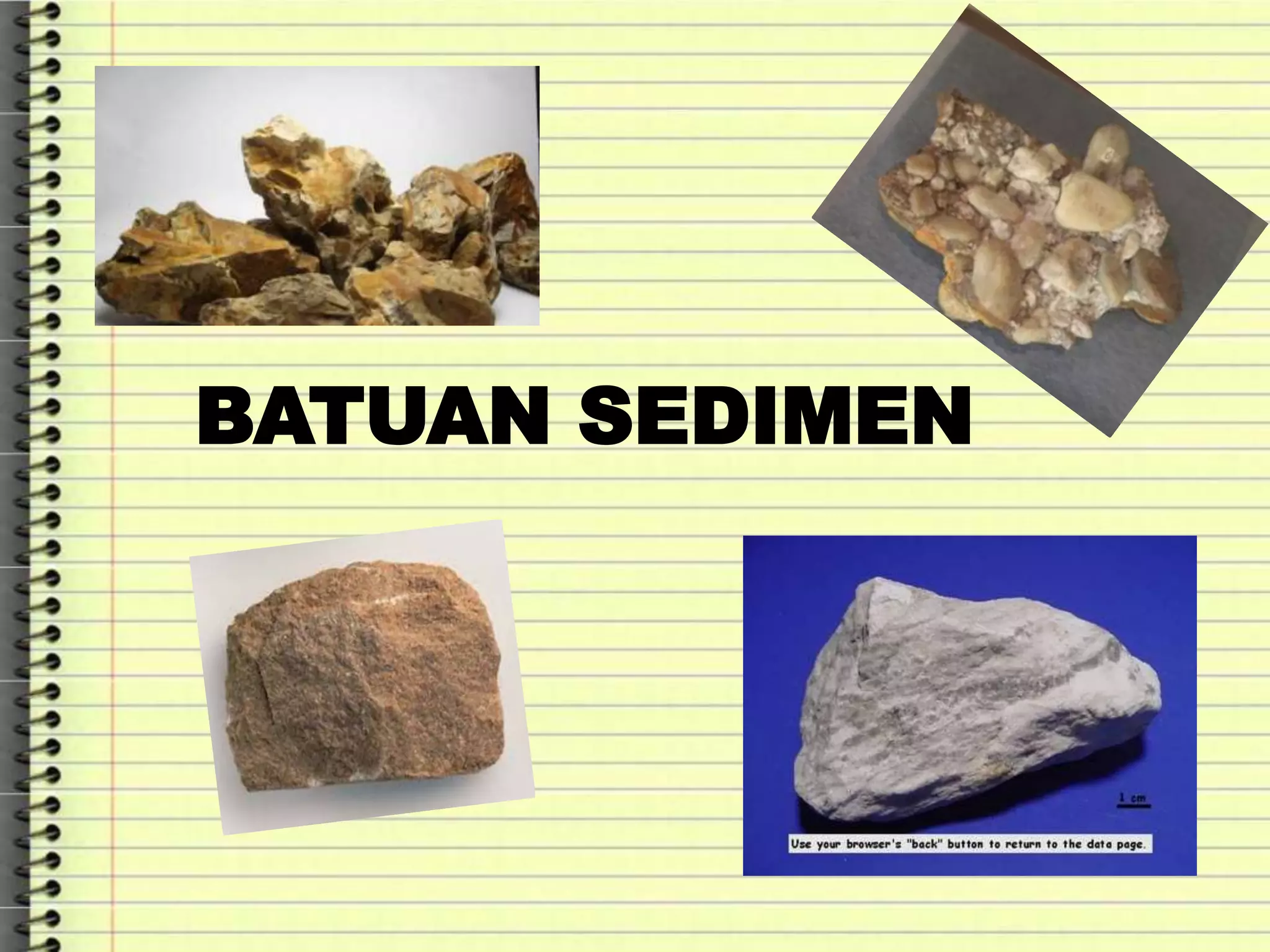 Batuan sedimen | PPTX