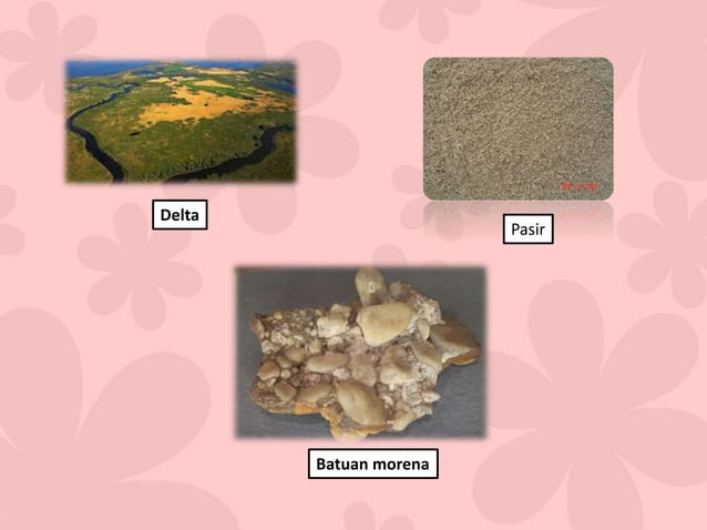 Batuan sedimen | PPTX