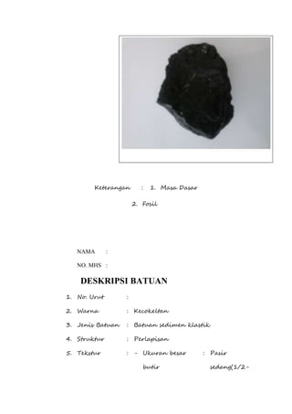 Batuan sedimen | PDF