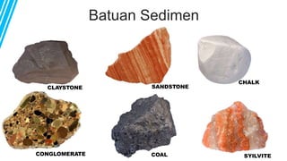 Batuan Sedimen.pptx