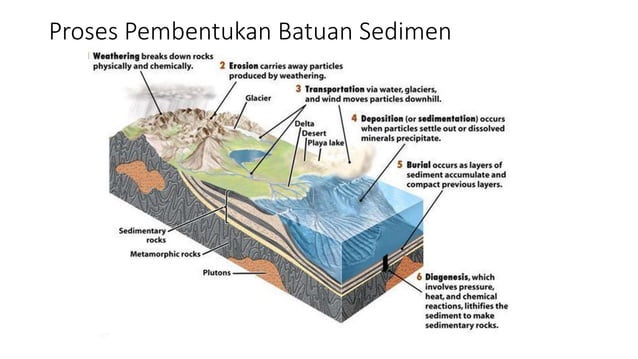 Batuan Sedimen, gamping, dll. Sedinen it | PPT