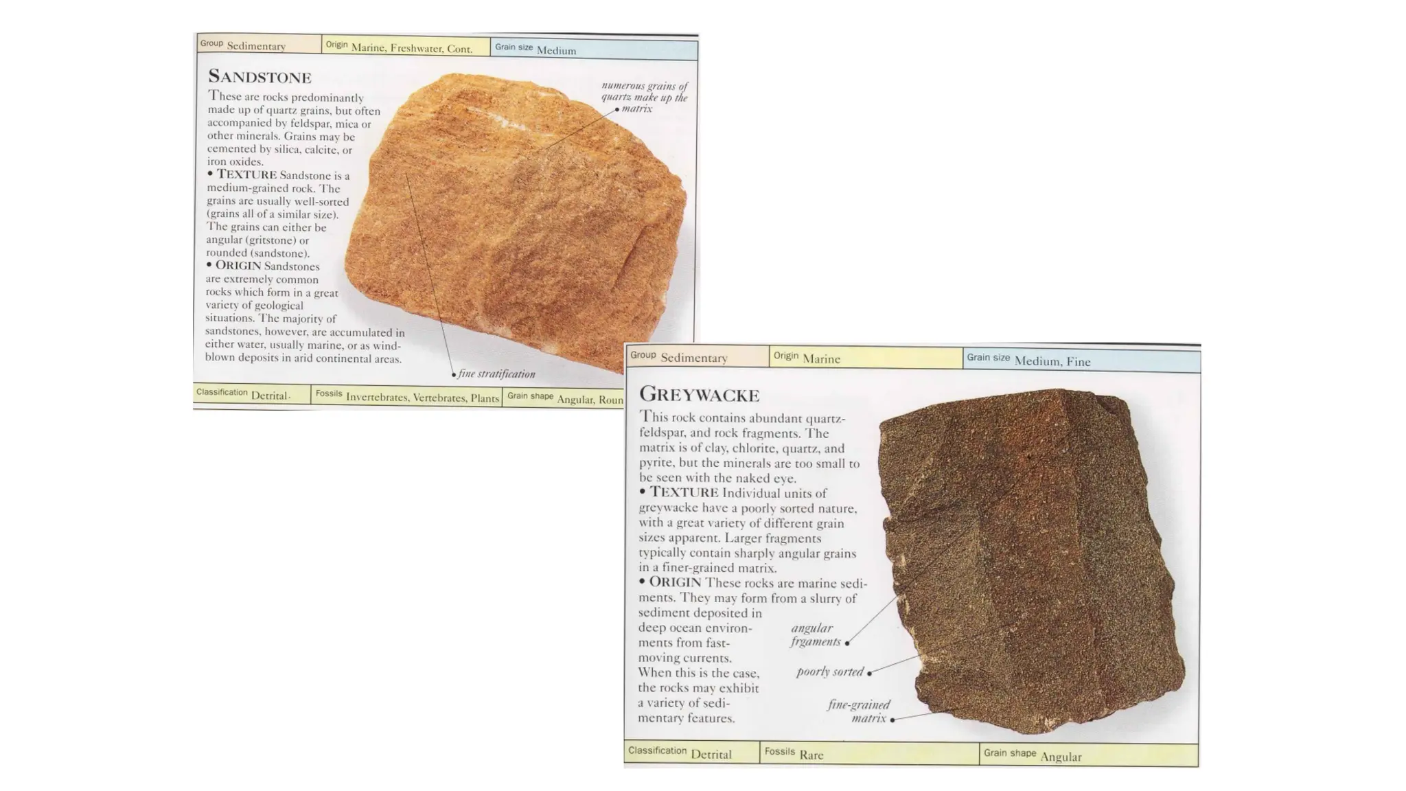 BATUAN SEDIMEN 1 (BATUAN SEDIMEN SILISIKLASTIK).pptx