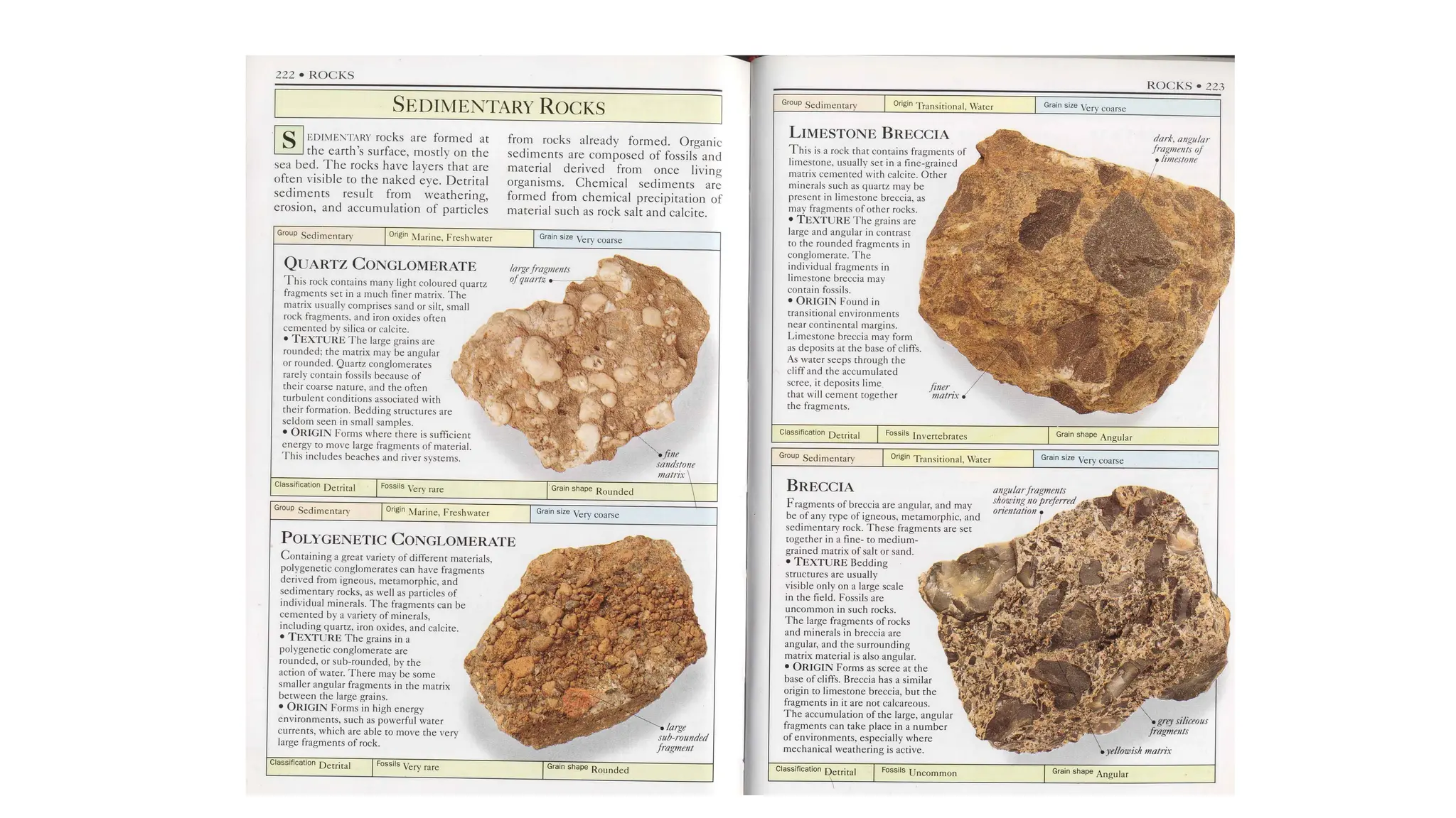 BATUAN SEDIMEN 1 (BATUAN SEDIMEN SILISIKLASTIK).pptx