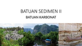 BATUAN SEDIMEN II (BATUAN SEDIMEN NONKLASTIK).pptx