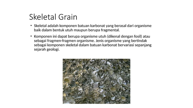 BATUAN SEDIMEN II (BATUAN SEDIMEN NONKLASTIK).pptx