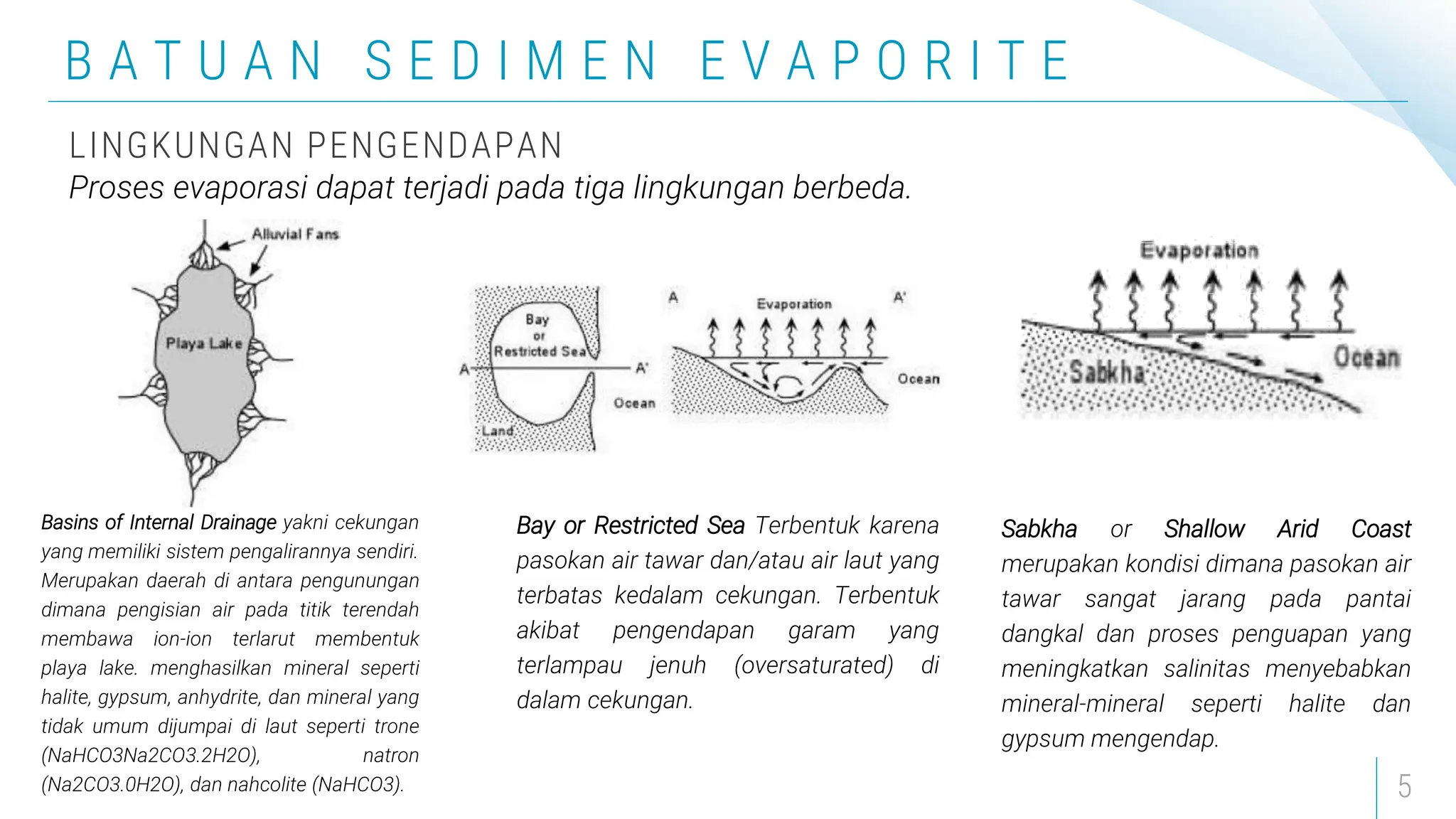 Batuan Sedimen Lainnya - Sedimentologi | PDF