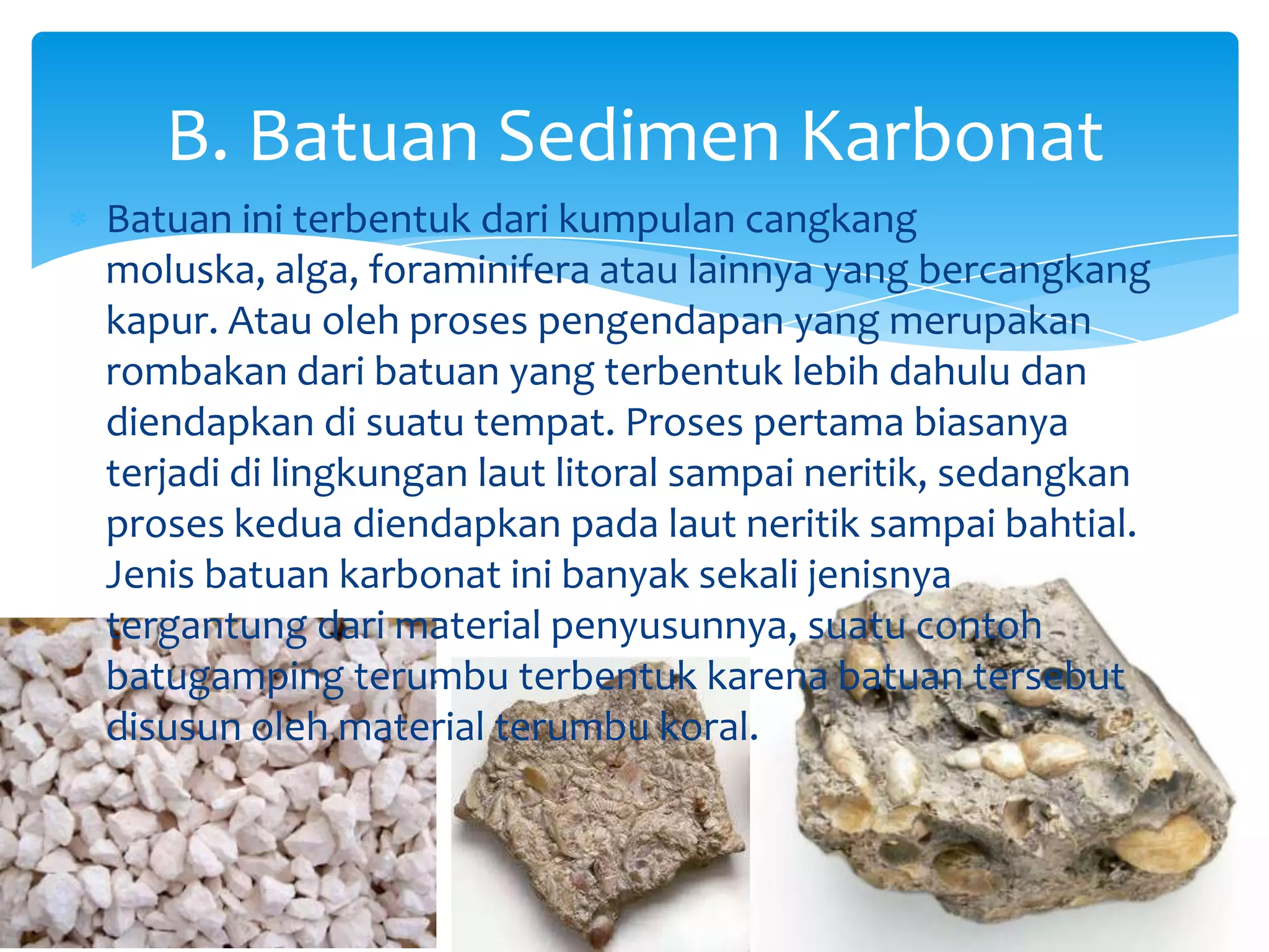 Batuan sedimen | PPTX