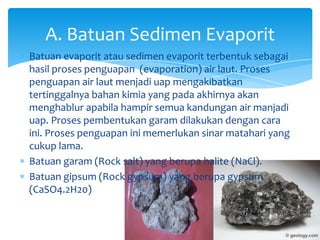 Batuan sedimen | PPTX