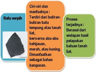 Batuan sedimen | PPTX