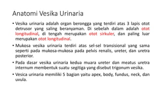 Batu Buli 06 Feb 2024 dalam manfaatnya bagi masyarakat.pptx
