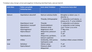 Batu Buli 06 Feb 2024 dalam manfaatnya bagi masyarakat.pptx