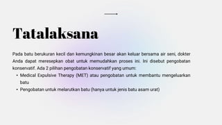 all about batu ginjal dan definisi terapi | PPT