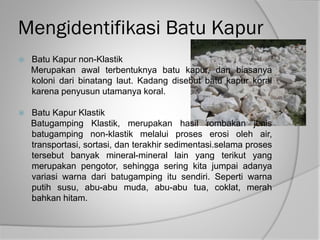 BATU KAPUR - BAHAN GALIAN INDUSTRI - BONITA | PDF