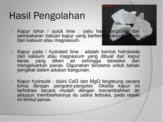 BATU KAPUR - BAHAN GALIAN INDUSTRI - BONITA | PDF