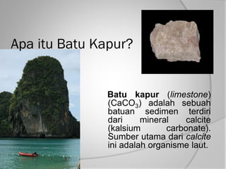 BATU KAPUR - BAHAN GALIAN INDUSTRI - BONITA | PDF