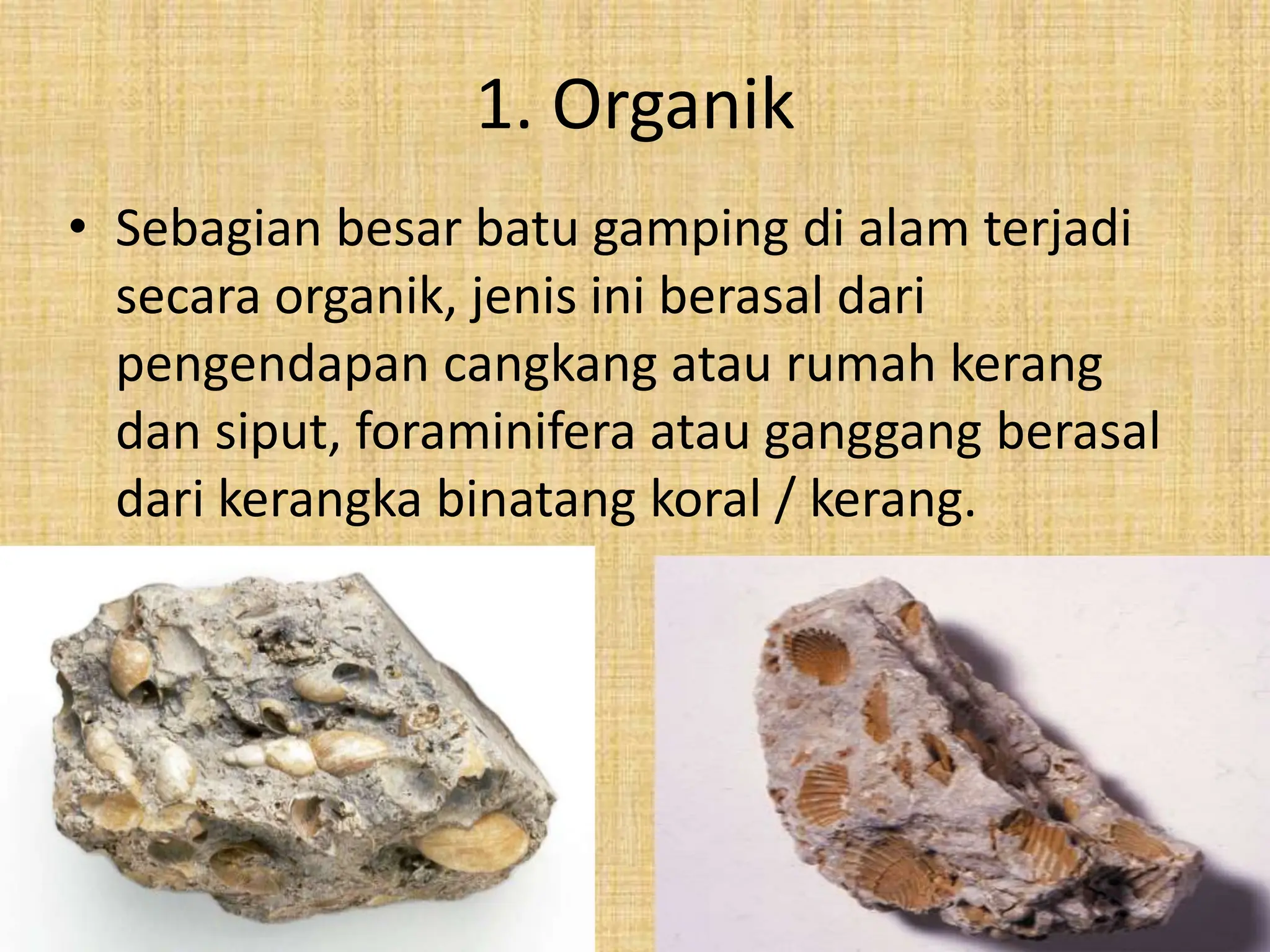 Proses terbentuknya (genesa) batu Gamping | PPTX