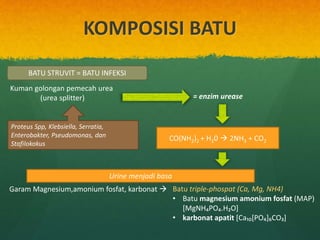 BATU_SALURAN_KEMIH.pptx