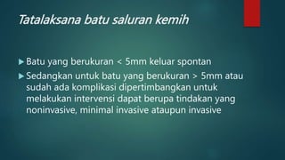 Batu Saluran Kemih lknlanlnsjnlndla.pptx