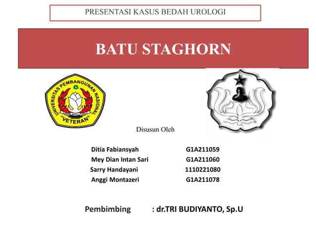 Batu Staghorn.pptx