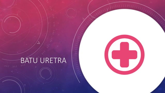 BATU URETRA.pptx