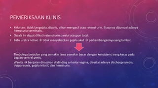 BATU URETRA.pptx