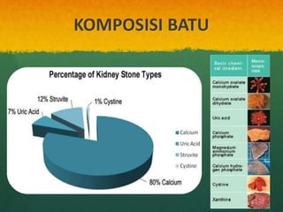 Batu Urinarius - Patofisiologi dan Pencegahan_Mario.pptx