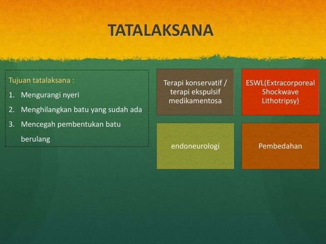 Batu Urinarius - Patofisiologi dan Pencegahan_Mario.pptx