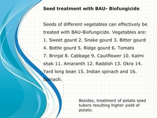 BAU Biofungicide-A novel biocontrol product in Bangladesh | PPT