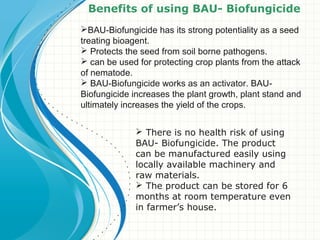 BAU Biofungicide-A novel biocontrol product in Bangladesh | PPT
