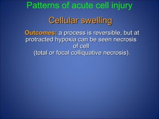 Cell injury. intracellular extracellular accumulation | PPT