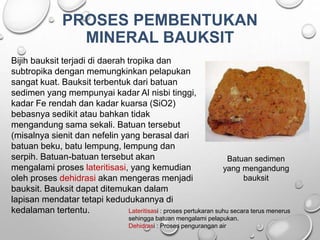 BAUKSIT-ppt.pptx